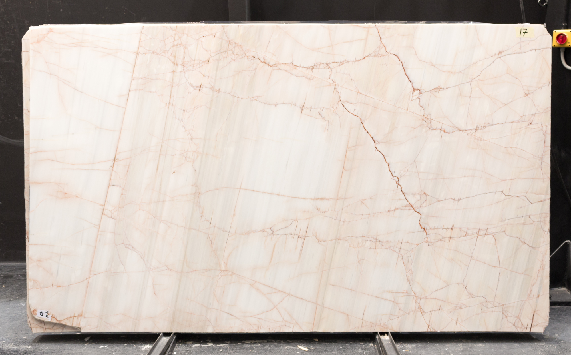 GOLDEN SPIDER | Marmo Elite