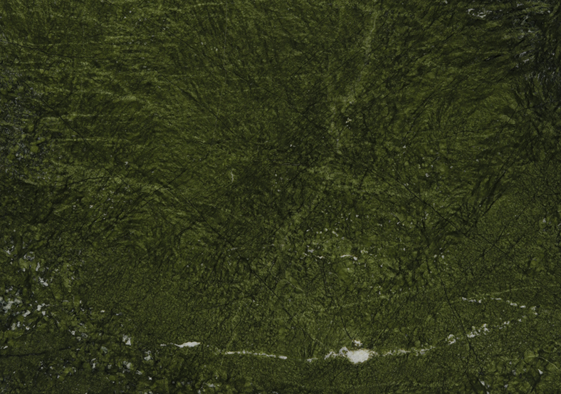 VERDE MING | Marmo Elite